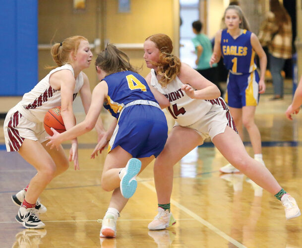 Fairmont sinks 3s, Windom for holiday basketball crown | News, Sports ...